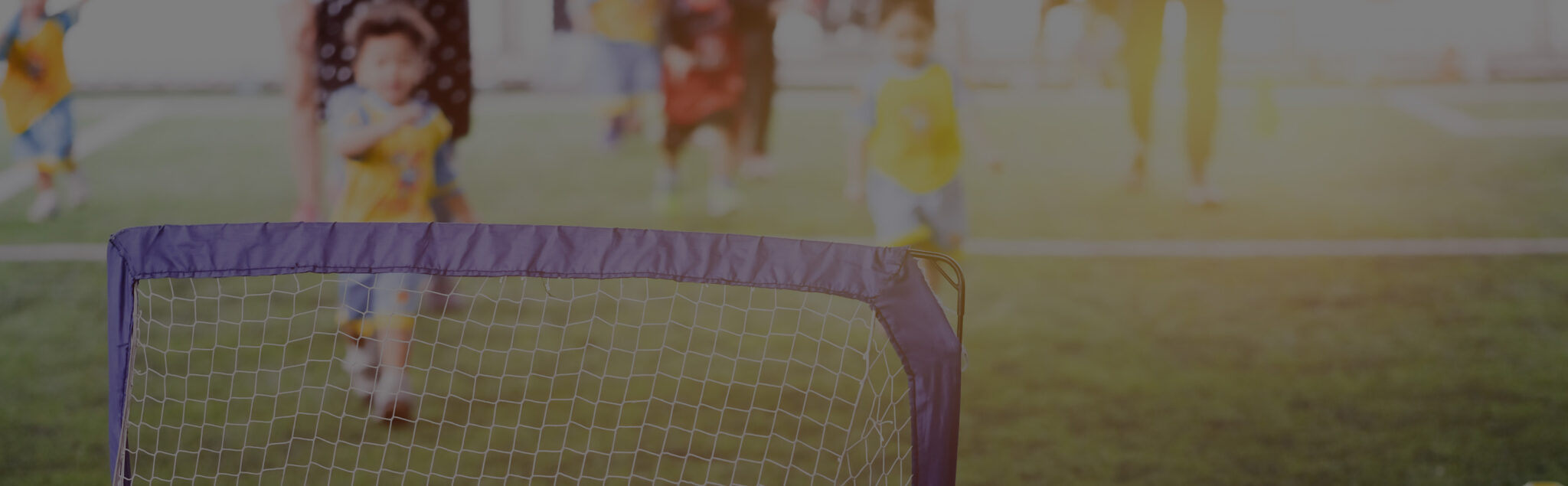 Toddler Multi-sport Sessions : Kinetic Kids Academy